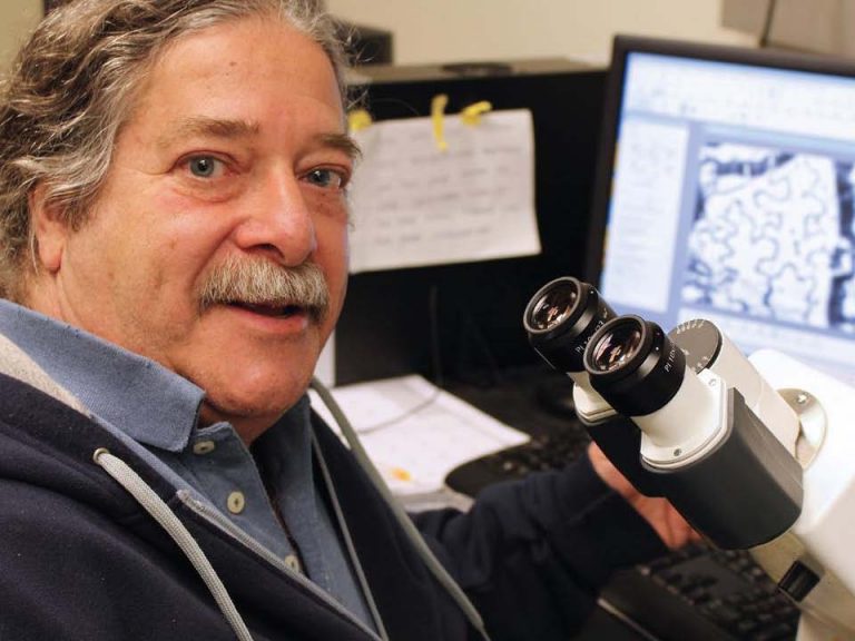 Gerald Berkowitz, PhD | CAHNR Cannabis Programs